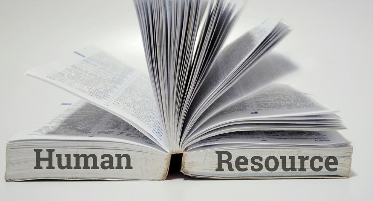 7 Human Resources Guides Every HR Manager Should Read | Thomas.co