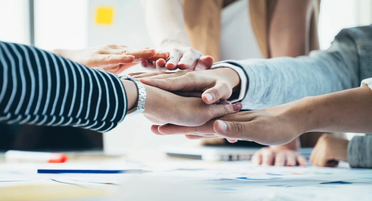 Looking for ideas for a very synergized, beginner-friendly team